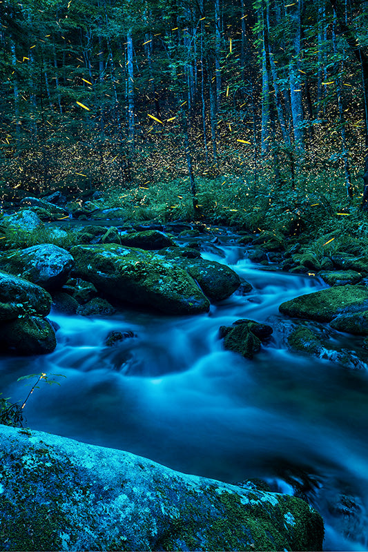 Stream of Thought (Vertical) – Firefly Experience LLC