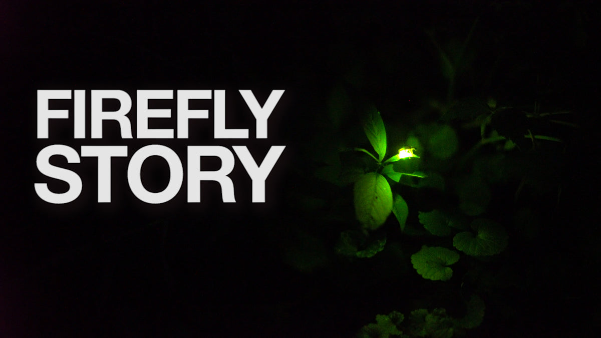 My Favorite Firefly Story – Firefly Experience LLC