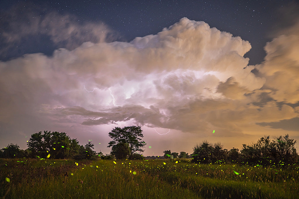 Colorado Thunderstorm – Firefly Experience LLC