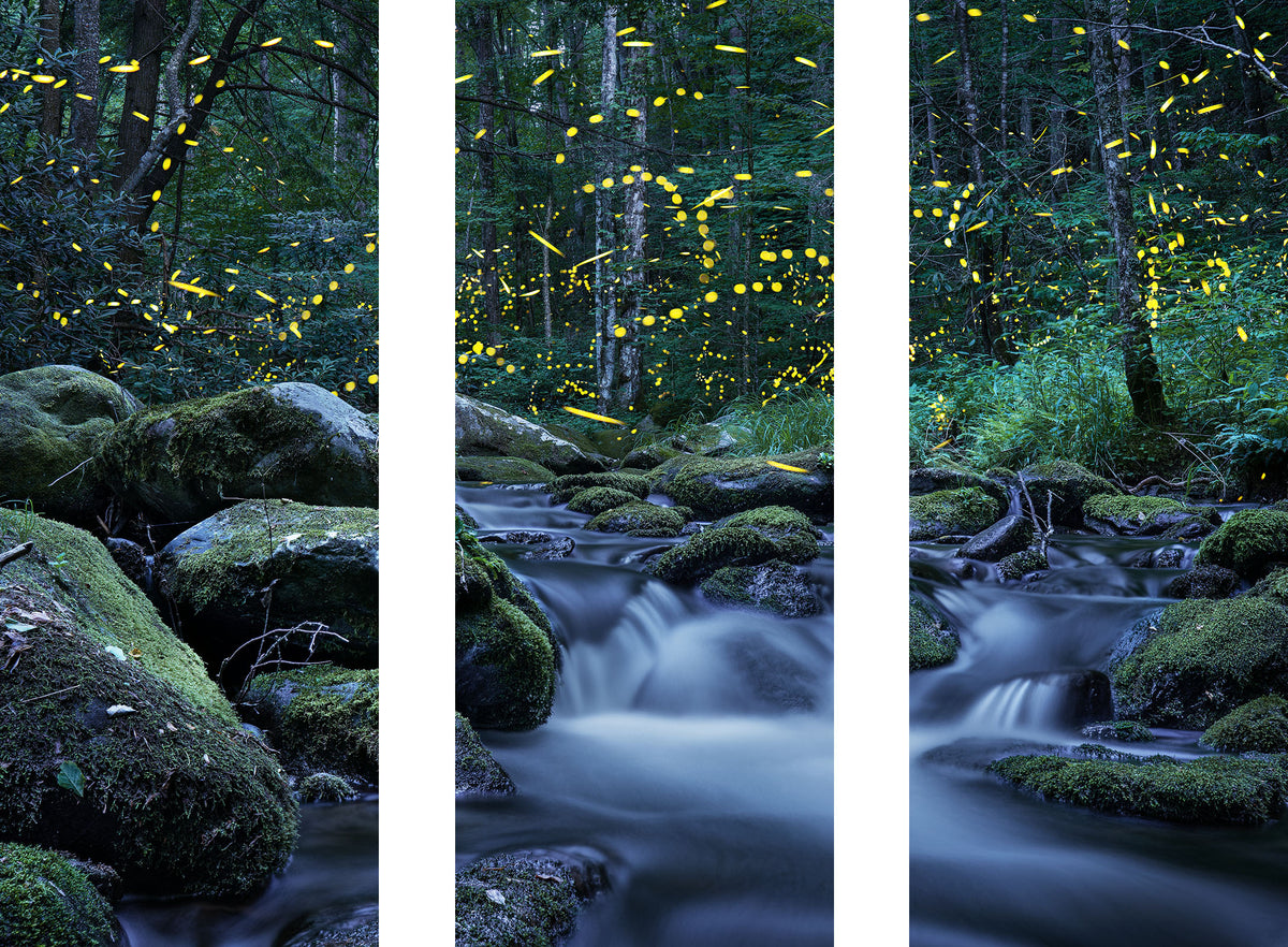 Singing Waterfall – Firefly Experience LLC