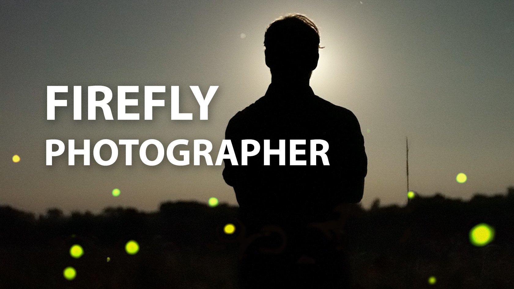 Firefly Experience - Photographs of Lightning Bugs and Fireflies ...