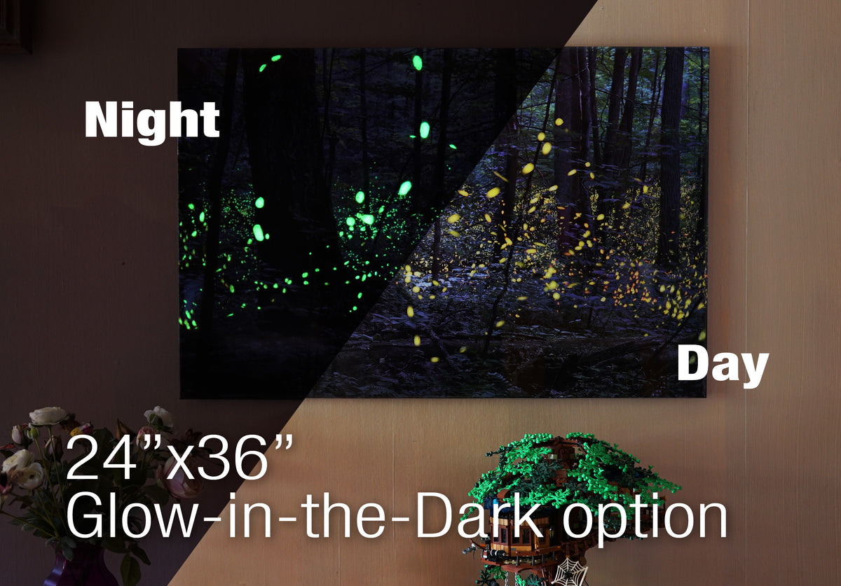 Gathering of Souls – Firefly Experience LLC